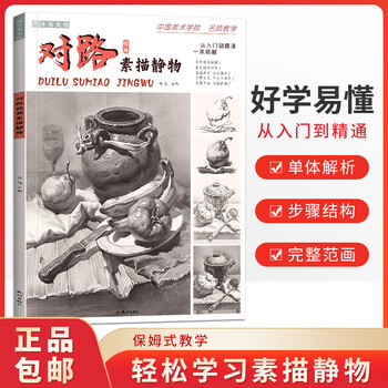 对路经典素描静物 基础入门对画临摹范本单体组合结构照片美院经典顶配考级美术绘画画册高考联考全集一本通