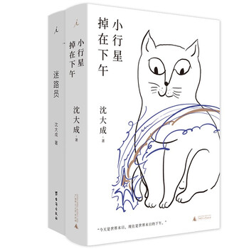 沈大成作品（套装共2册）：迷路员+小行星掉在下午 沈大成 著 理想国
