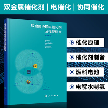 双金属协同电催化剂及性能研究