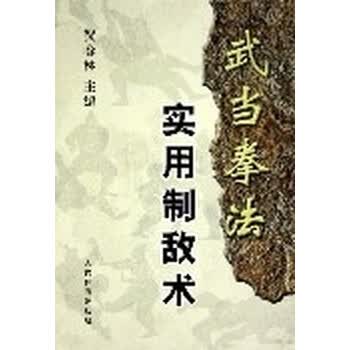 武当拳法实用制敌术【正版图书】