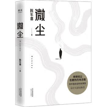 微尘（陈年喜非虚构故事集；作者入选《南方人物周刊》2021魅力人物“100张中国脸”；易中天感动推荐。）