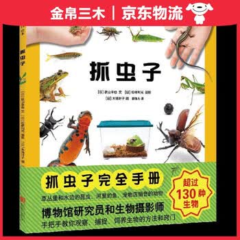 抓虫子