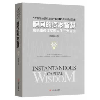 瞬间的资本智慧 唐晓康