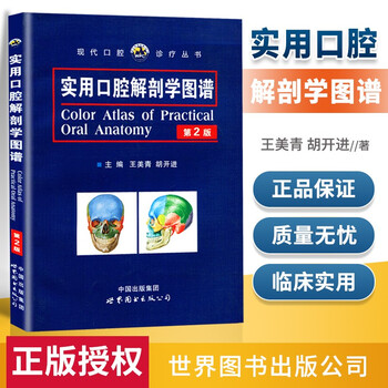 实用口腔解剖学图谱 第2二版 王美青 现代口腔诊疗丛书 口腔科学 口腔医学类专业书籍 口腔解剖学 实用口腔临床医学书 临床牙科医生参考书