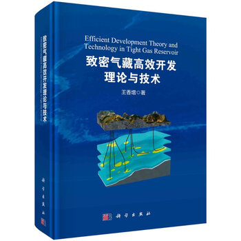致密气藏高效开发理论与技术