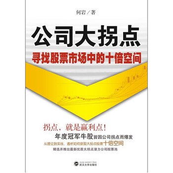 公司大拐点-寻找股票市场中的十倍空间