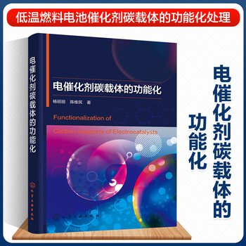 电催化剂碳载体的功能化