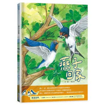 预售 黄玉玲 燕子回家 小光点