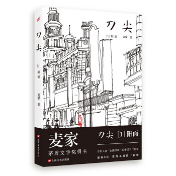 刀尖1：阳面 麦家