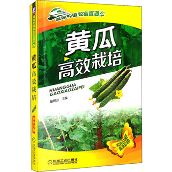 黄瓜高效栽培 苗锦山  书籍