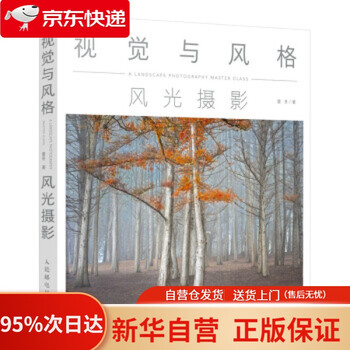 【新华书店 官方自营】视觉与风格 风光摄影 董冬 著 人民邮电出版社 9787115518217