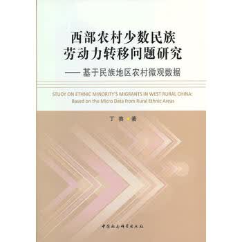 西部农村少数民族劳动力转移问题研究