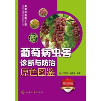 葡萄病虫害诊断与防治原色图鉴