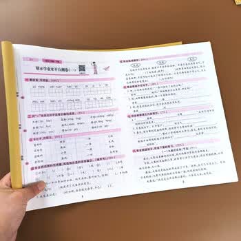 二年级下册期末复习测评卷语文数学人教版全能达标100分同步训练小学2年级冲刺100分周考月考期中期末单元测试卷 二年级下册 语文