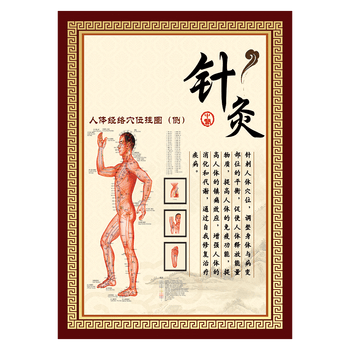 中医文化宣传挂图针灸理疗室工作制度牌职责宣传画墙贴画防水贴纸WSH50 WSH50-02 针灸 人体经络穴位 80*60厘米 覆膜防水PP贴纸