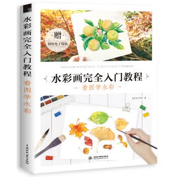 水彩画完全入门教程 看图学水彩 飞乐鸟