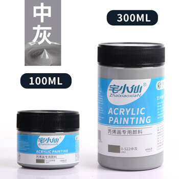 丙烯颜料防水手绘画材料diy墙绘彩绘工具24色画鞋子12色300ml白色炳稀染料不掉色儿童涂鸦丙 中灰 300ml