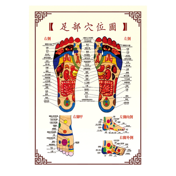 中医养生按摩国家标准足穴挂图脚底足部反射区宣穴位图传画WSA WSA17 足部穴位图 80x120cm  PP覆膜贴纸