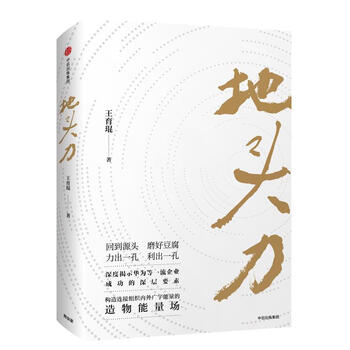 地头力:华为能量场 王育琨【正版书】