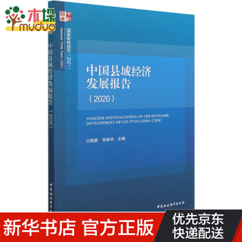 中国县域经济发展报告(2020)/国家智库报告