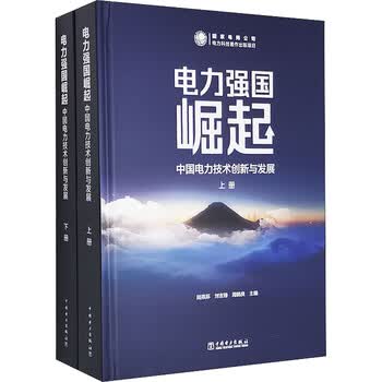 电力强国崛起 中国电力技术创新与发展(全2册) 图书