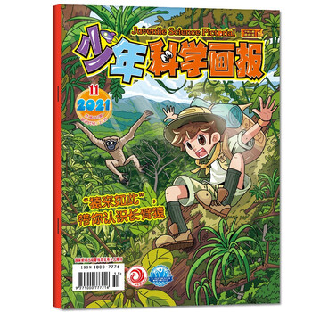 【6月新到】少年科学画报杂志2022年6月（全年订阅/2021年可选）青少年优秀少儿报刊小学初中生百科儿童过期刊【单本】 21年11月