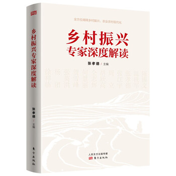 乡村振兴专家深度解读