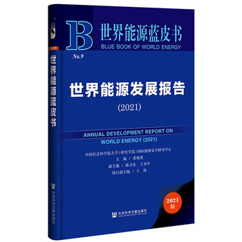 世界能源蓝皮书：世界能源发展报告2021   黄晓勇  编    社科文献