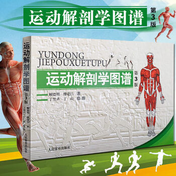 运动解剖学图谱修订第3版 体育健身书籍肌肉健美训练图解肌肉塑造教程书 运动生理学医学书籍解刨学教材
