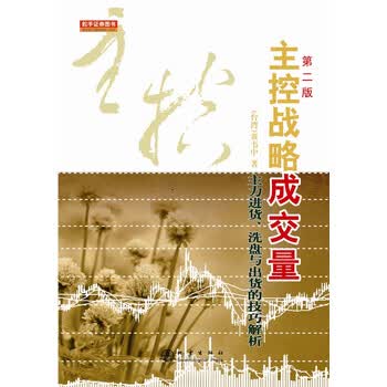 主控战略成交量第二版