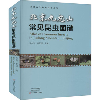 北京九龙山常见昆虫图谱 图书