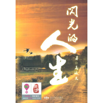 闪光的人生高致大著