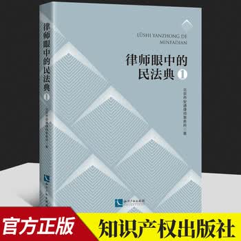 律师眼中的民法典 1   知识产权出版社