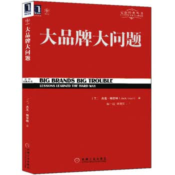 大品牌大问题 耿一诚等译 机械工业出版社