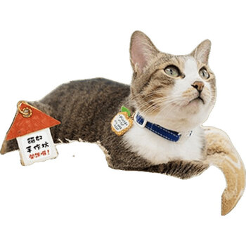 貓奴的手作入門課：用簡易材料打造可愛喵物 猫咪的周边 項圈吊床跳台貓抓板等 港台原版