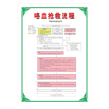 医院制度急救程序挂图过敏性休克抢救流程图示意图墙贴纸WSB169 WSB169-27 80*120cm  PP覆膜贴纸