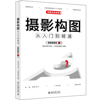 摄影构图从入门到精通（视频教程版）