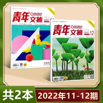 套装/多本 青年文摘杂志2022年6月第12/11/10期/9期/8/7期梁晓声 人世间/ 6/5/4/3/2/1期上下 文学文摘青年小学生读物杂志 22年11-12期 2本装