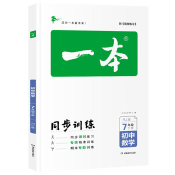 2022春一本初中数学七年级同步训练下册人教版RJ 初中生数学辅导练习题初一7年级数学下册同步教材题