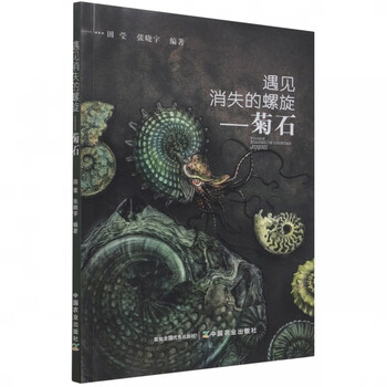 遇见消失的螺旋