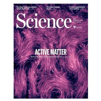 【单期可选】Science 美国科学杂志 2019年\/2020年美国自然科学科普英文杂志 #6482 2020年3月6日
