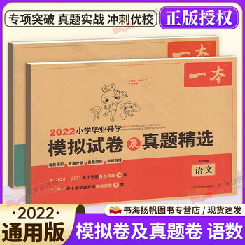 选】模拟试卷真题精选考卷大集结一本小升初小学语文数学英语总复习书测试卷子复习 模拟试卷语数2本