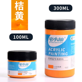 丙烯颜料防水手绘画材料diy墙绘彩绘工具24色画鞋子12色300ml白色炳稀染料不掉色儿童涂鸦丙 桔黄 100ml