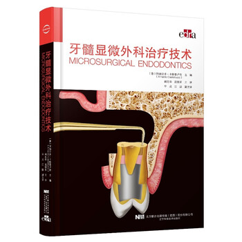 牙髓显微外科治疗技术