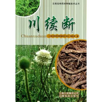 川续断/云南名特药材种植技术丛书