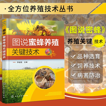 图说蜜蜂养殖关键技术 农业养殖技术书籍