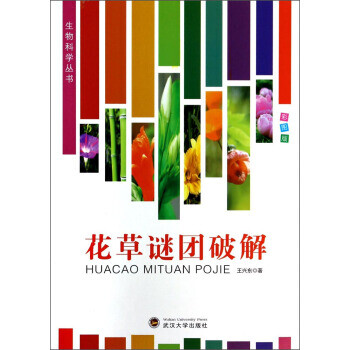 花谜团破解 王兴东