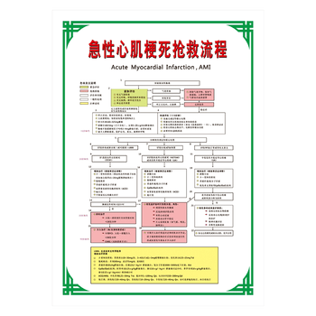 医院制度急救程序挂图过敏性休克抢救流程图示意图墙贴纸WSB169 WSB169-26 40*60cm  PP覆膜贴纸