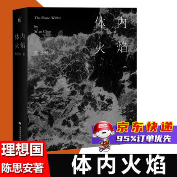 理想国作品 正版图书 体内火焰 陈思安 新书