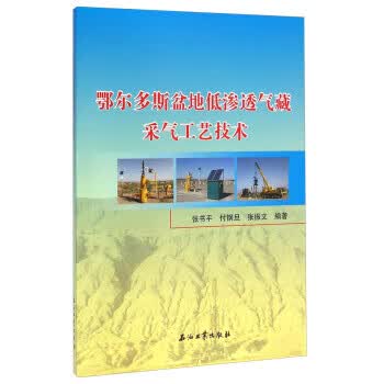 鄂尔多斯盆地低渗透气藏采气工艺技术 张书平,付钢旦,张振文